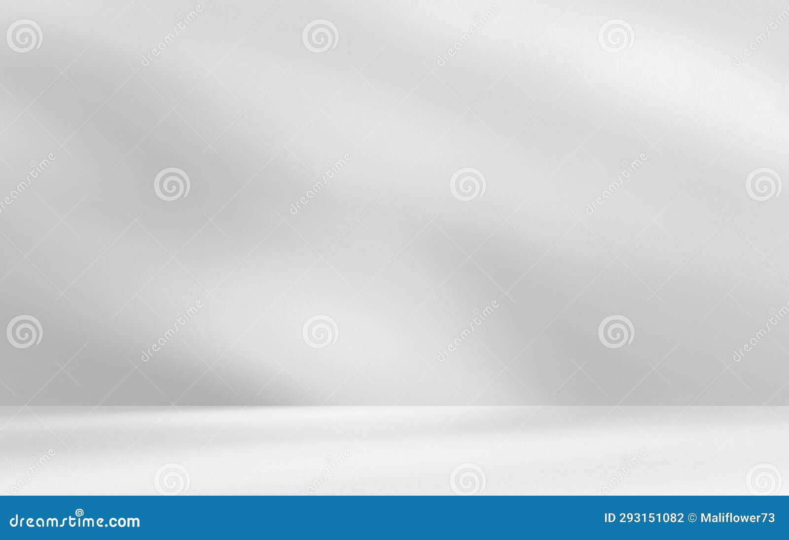 Empty Gray Room Studio with Shadow of Tree Leaves on the Wall and Floor ...