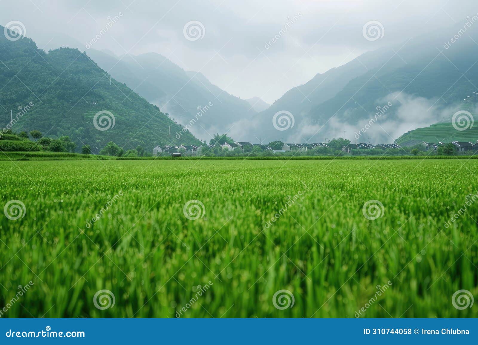 Empty Green Field Chinese Village on Background Stock Illustration ...