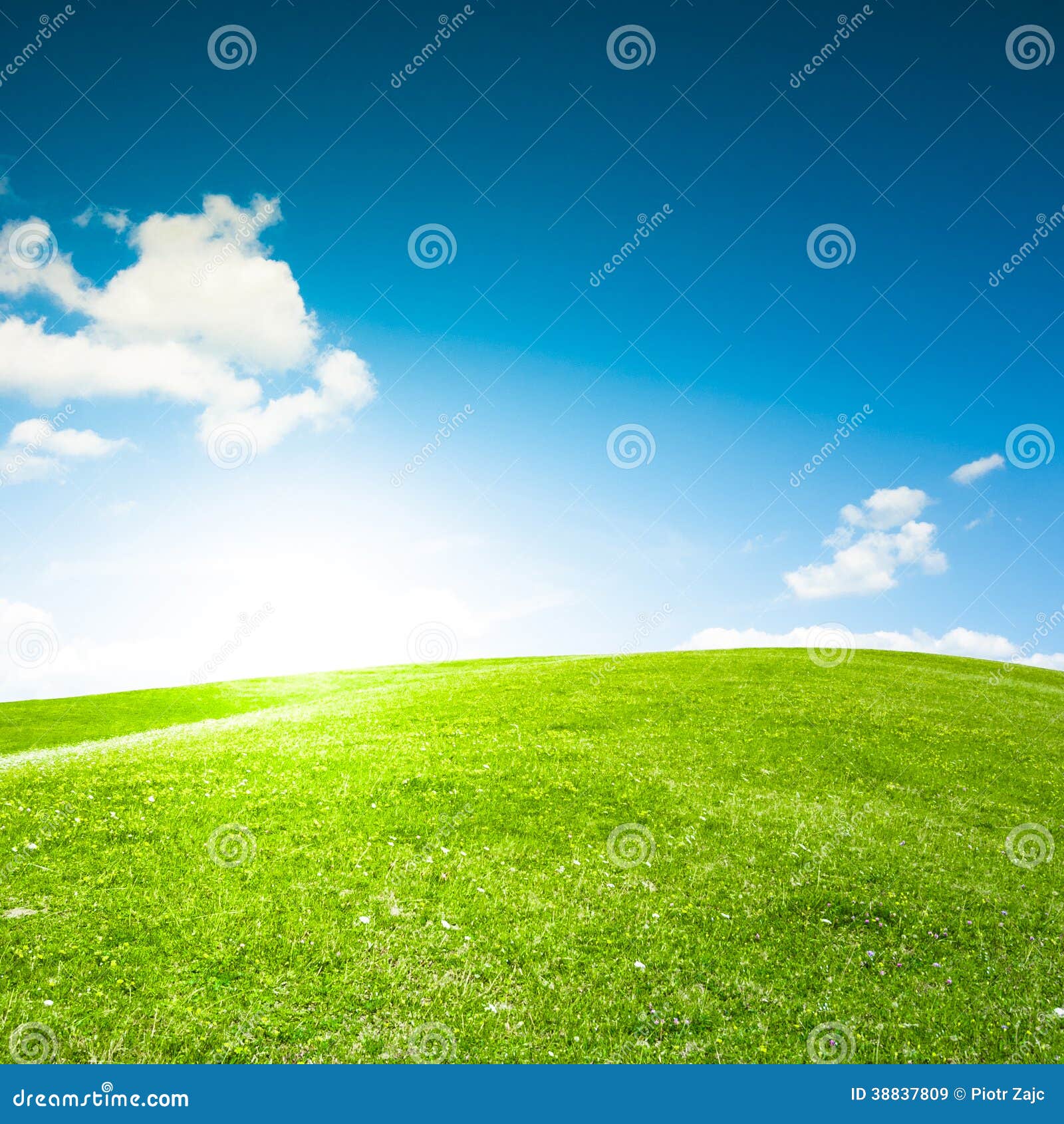 Empty Green Grass Field and the Blue Sky Stock Image - Image of nature ...