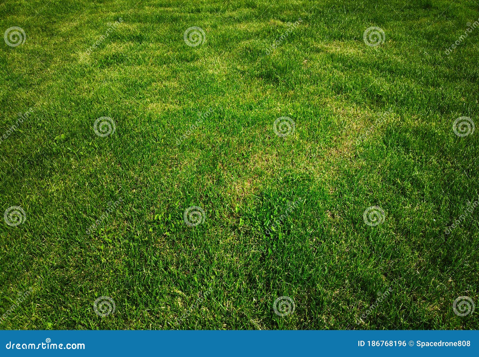 Empty Green Lawn Texture Background Stock Photo - Image of leaf, farm ...