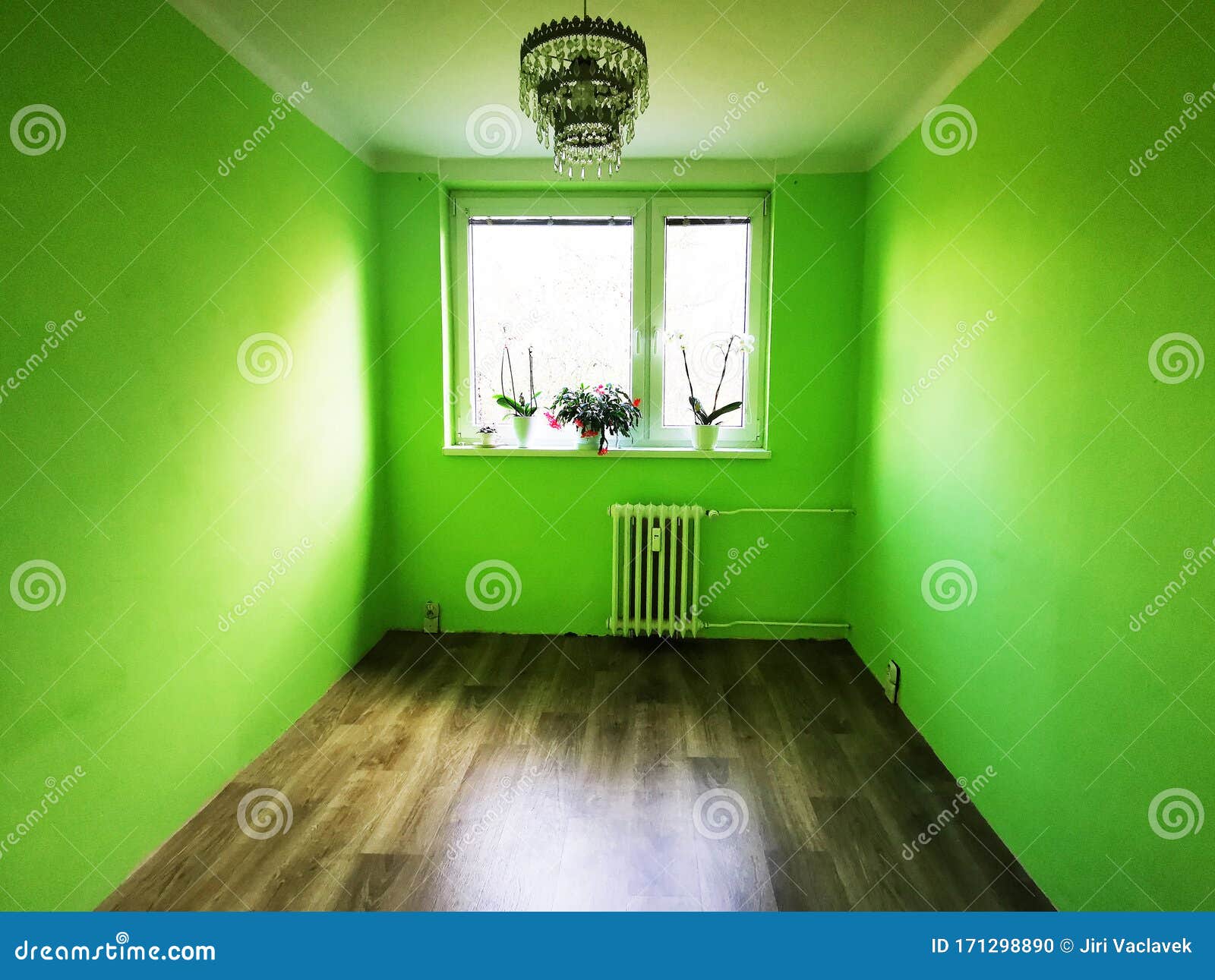 Empty green room stock photo. Image of comfort, white - 171298890