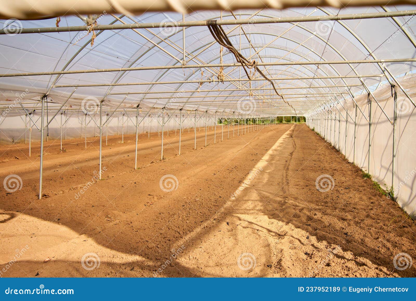 Empty Greenhouse Prepared for Planting. Stock Image - Image of ...