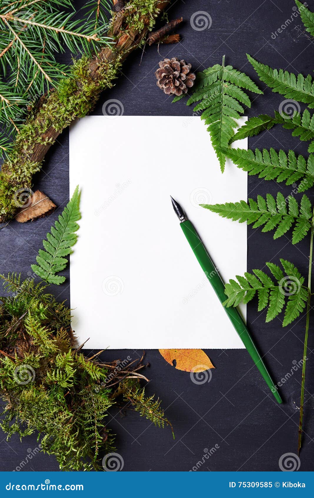 Empty greeting card stock image. Image of wild, white - 75309585