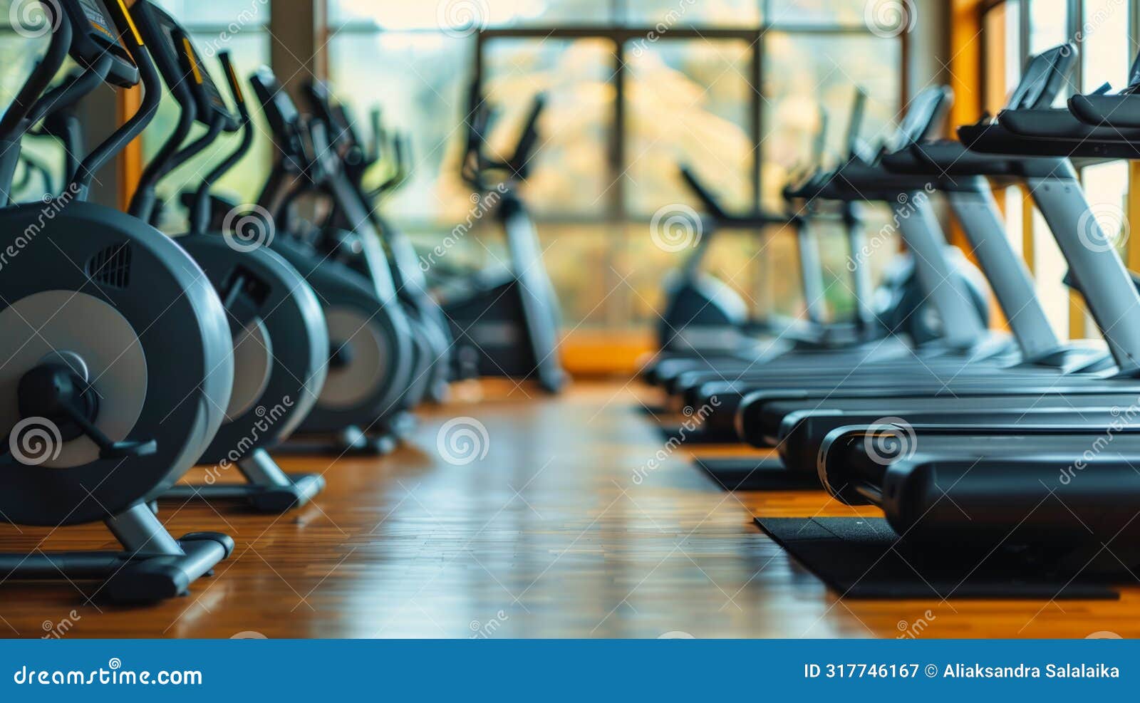 Empty Gym with Treadmills and Elliptical Machines, Highlighting the ...