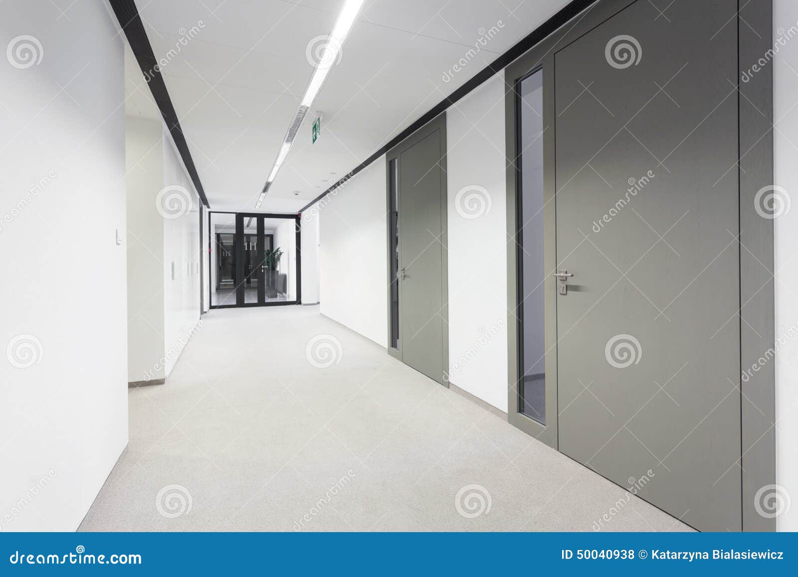 Empty Hall in Business Office Stock Photo - Image of hallway, doors ...