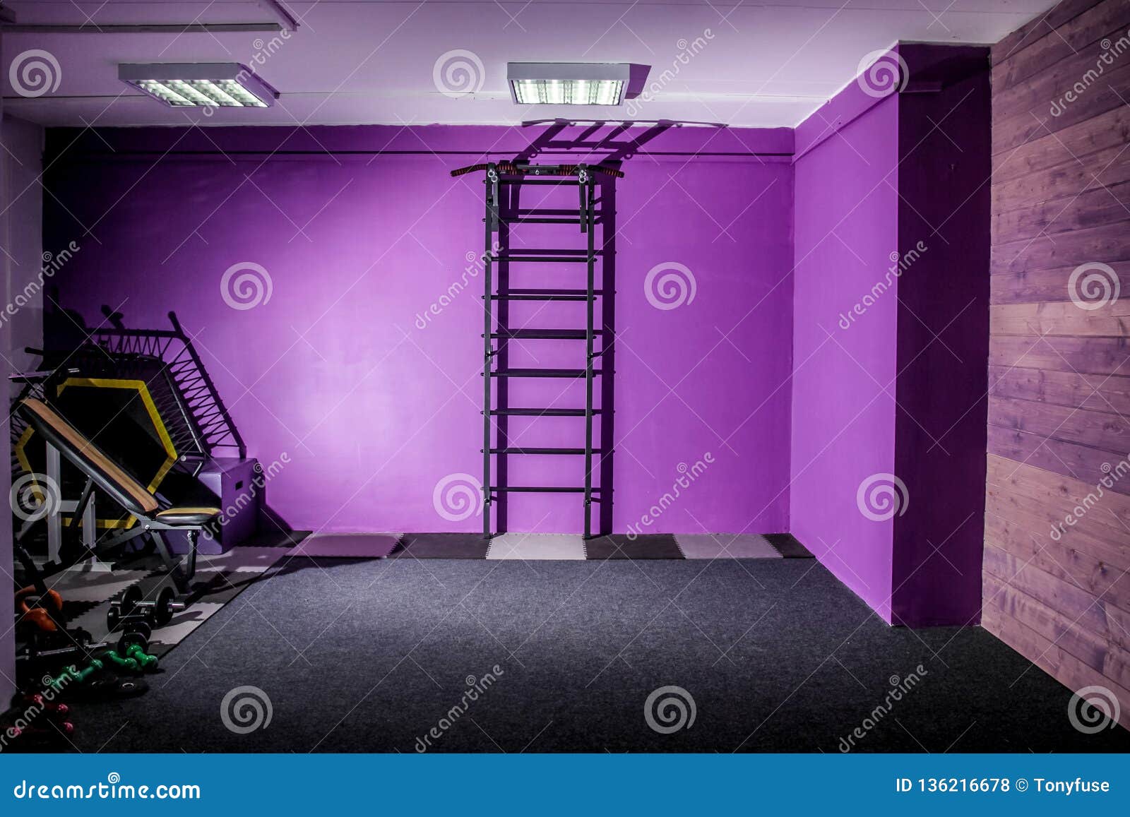 Empty Gym Hall with with Sports Equipment and Stock Photo - Image of ...
