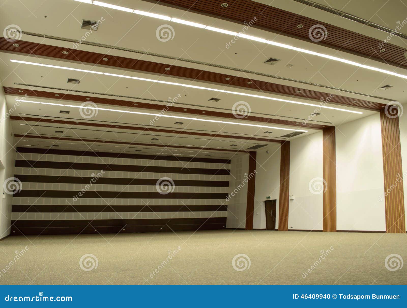 Empty hall stock photo. Image of wood, architect, classical - 46409940