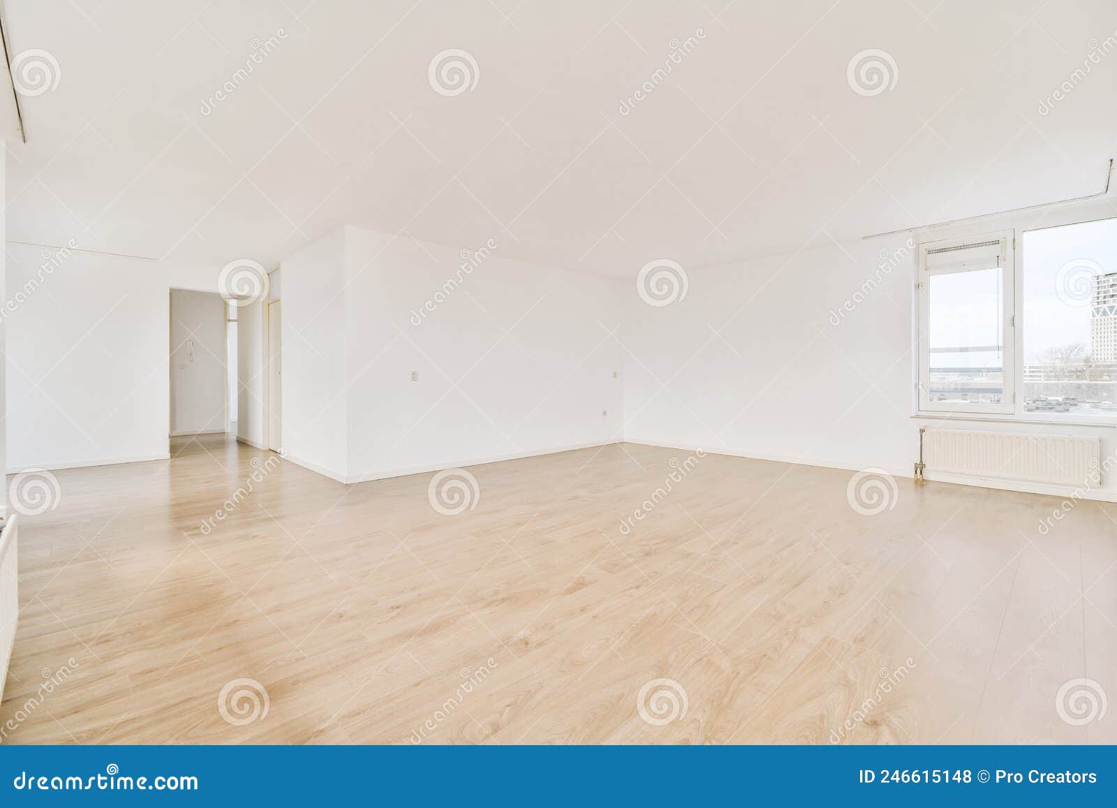Empty hall room stock photo. Image of floor, house, clean - 246615148