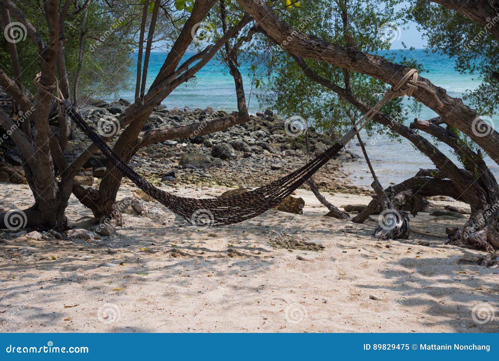 Empty Hammock Hang on Trees on the Beach at Koh Samed Island. Stock ...