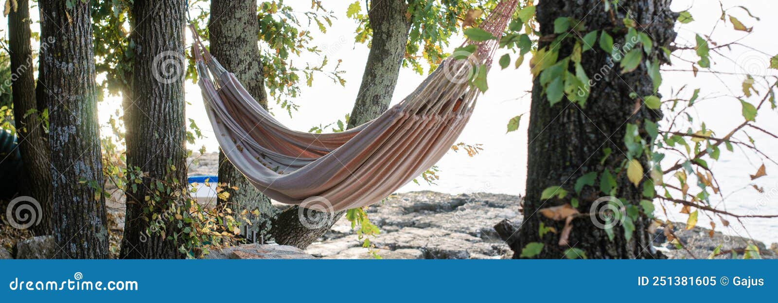 Empty Hammock Hanging Tied between Trees Stock Image - Image of outside ...