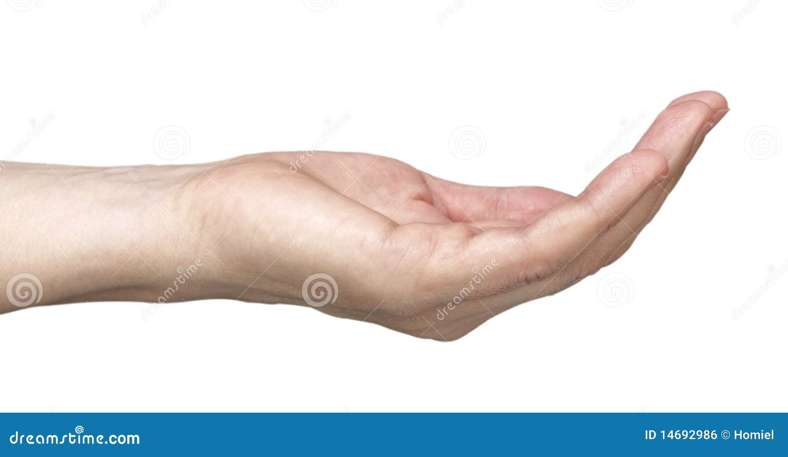 Empty hand stock photo. Image of closeup, carrying, help - 14692986