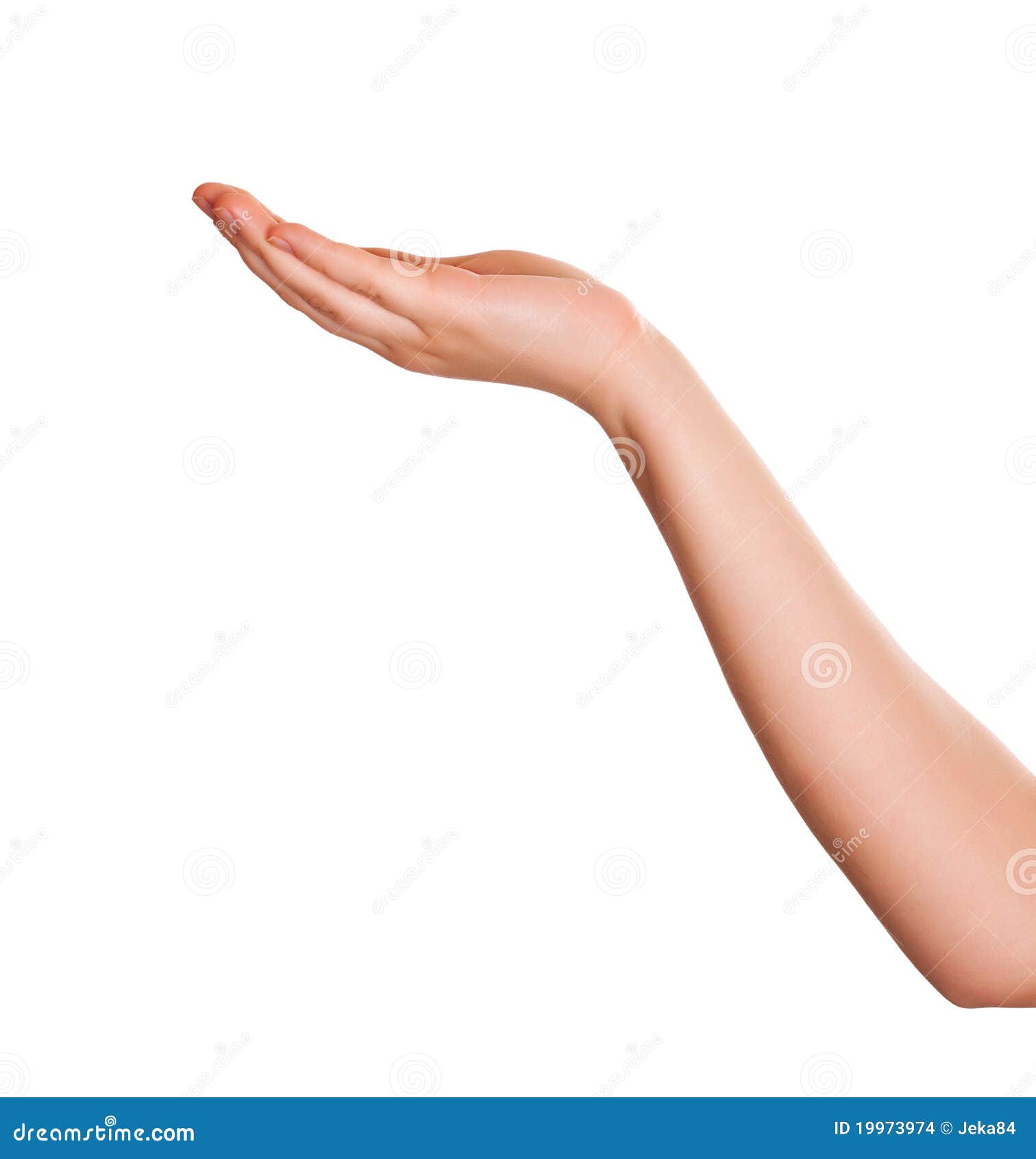 Empty hand stock photo. Image of alms, isolated, concepts - 19973974