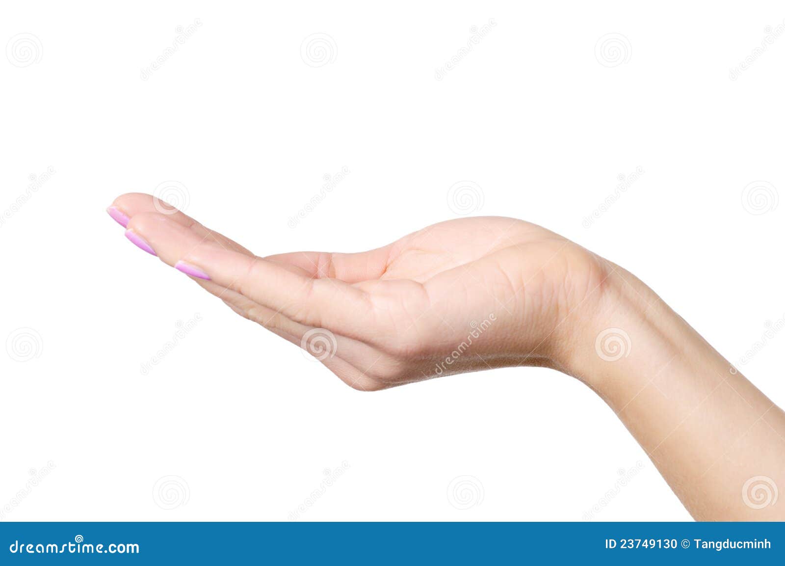 Empty hand stock photo. Image of pink, hold, skin, empty - 23749130
