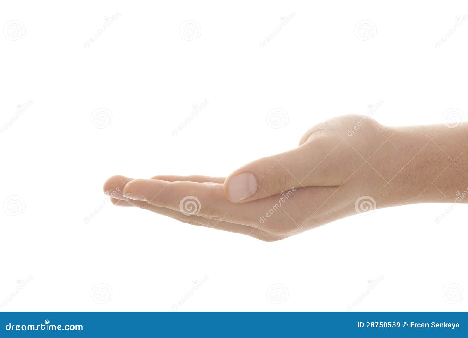 Empty hand stock image. Image of adult, background, help - 28750539