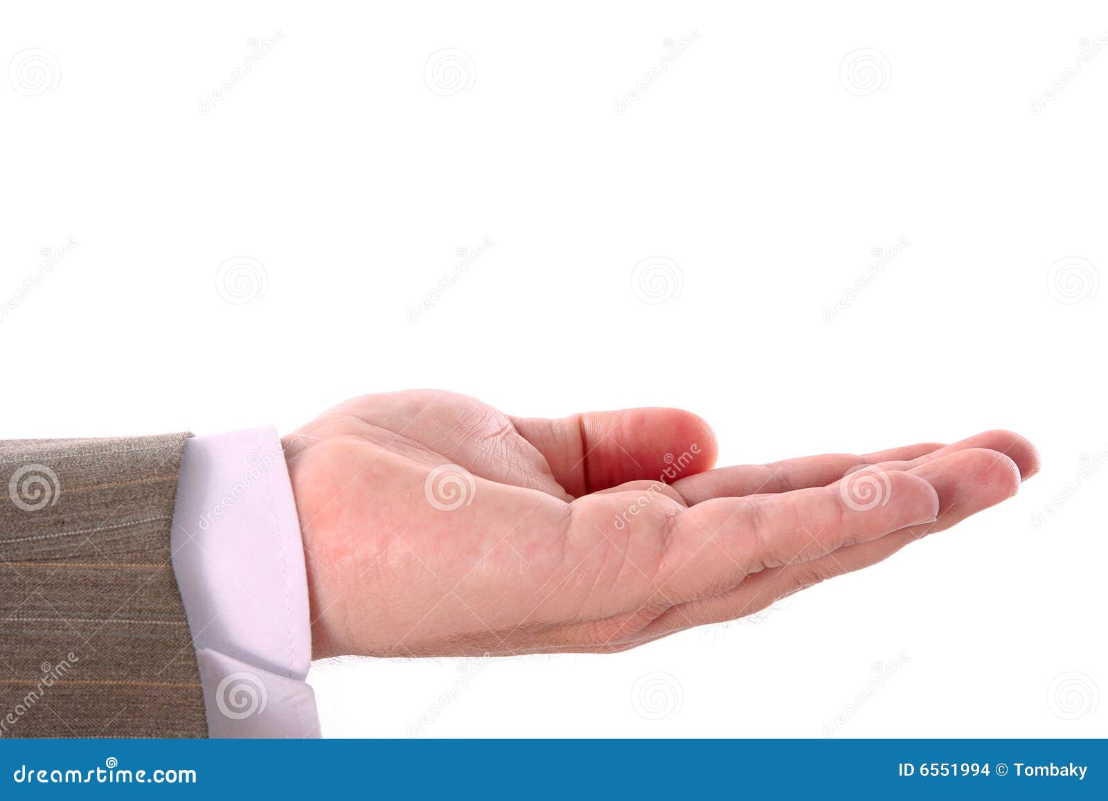 Empty hand stock photo. Image of human, caucasian, blank - 6551994
