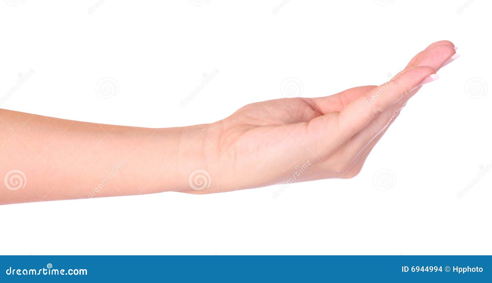 Empty hand stock photo. Image of business, bringing, open - 6944994