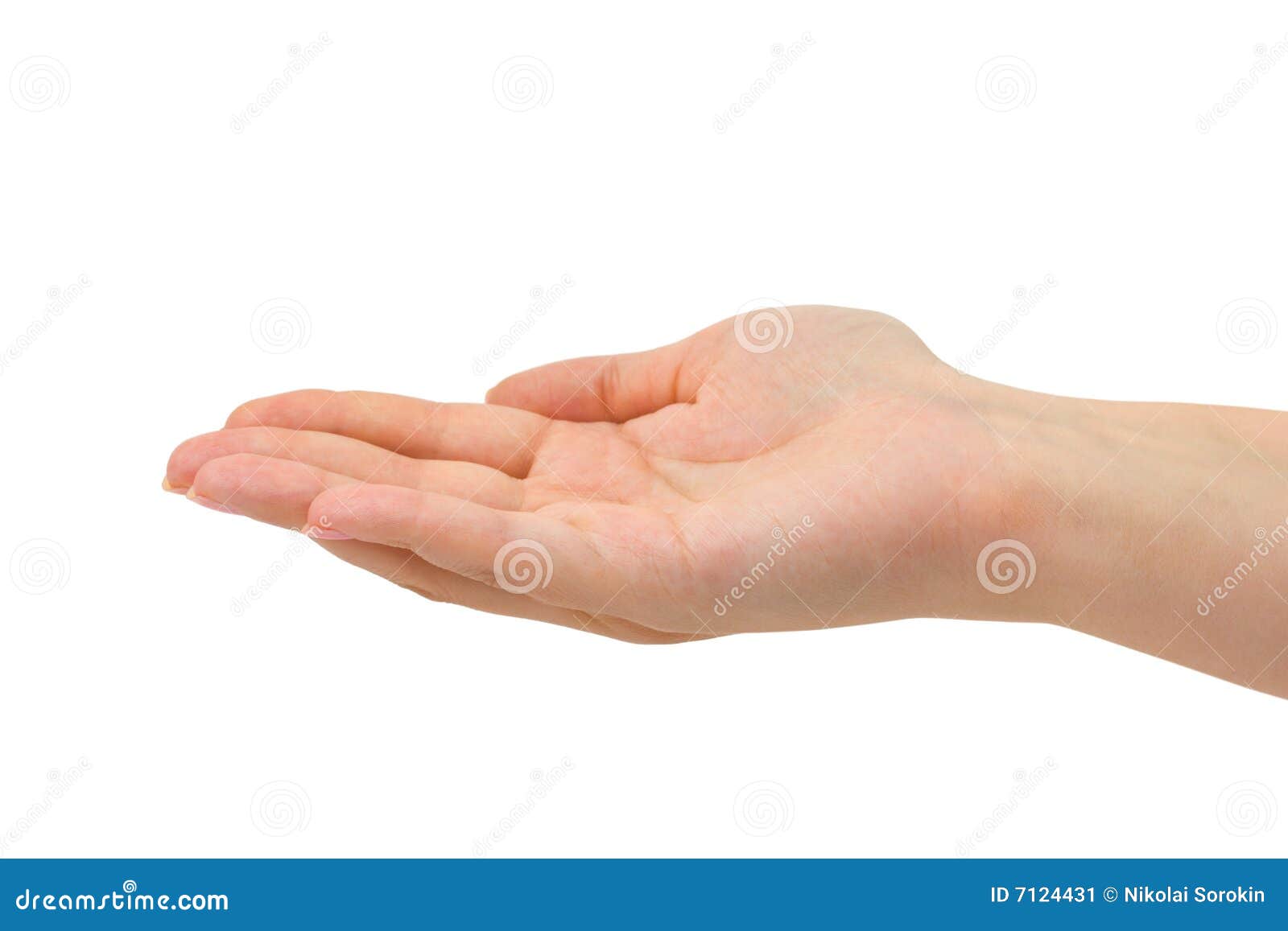 Empty hand stock image. Image of give, concepts, love - 7124431