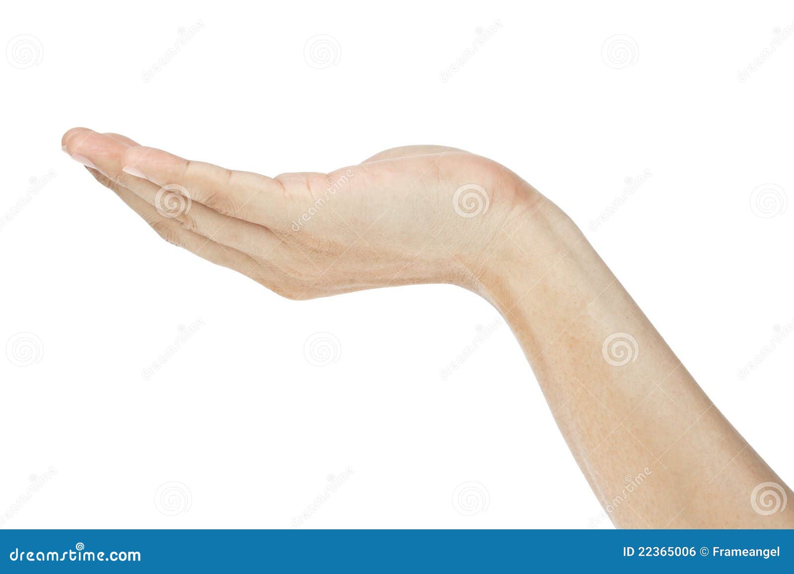 Empty hand isolated stock photo. Image of index, right - 22365006