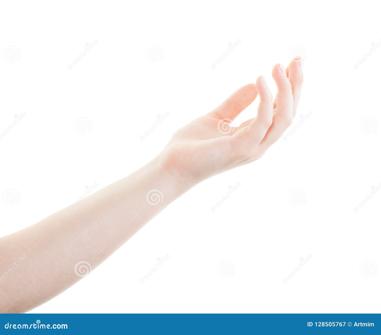 Empty Hand Isolated on White Stock Image - Image of pointing, catch ...