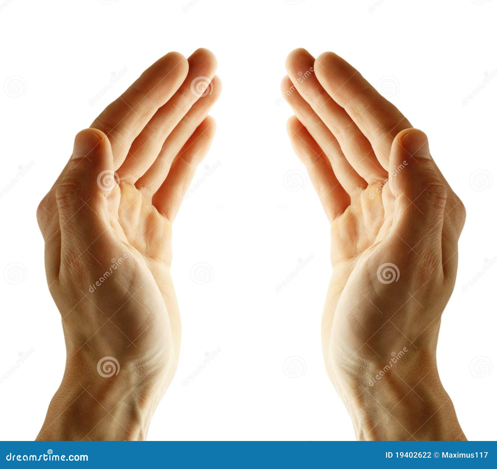 Empty Hand Isolated on a White Stock Photo - Image of cupped, help ...