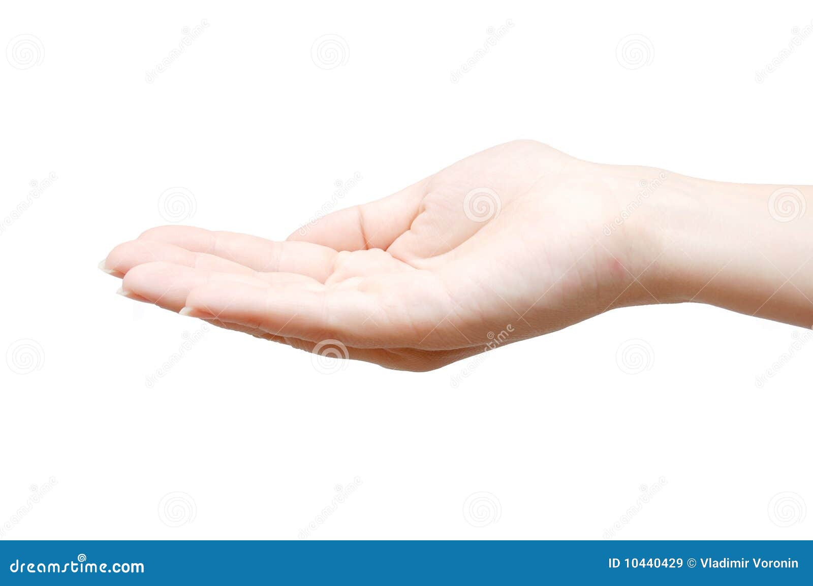 Empty Hand Isolated on White Background Stock Image - Image of love ...