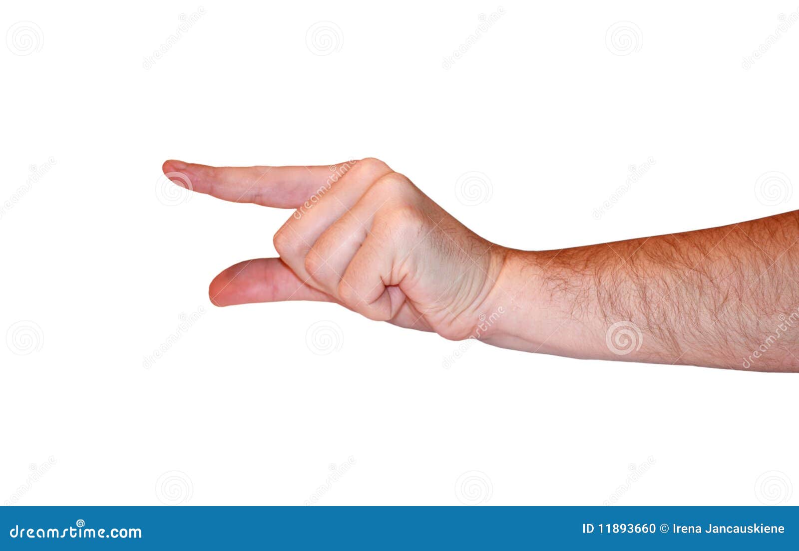 Empty Hand Isolated on White Background Stock Photo - Image of business ...