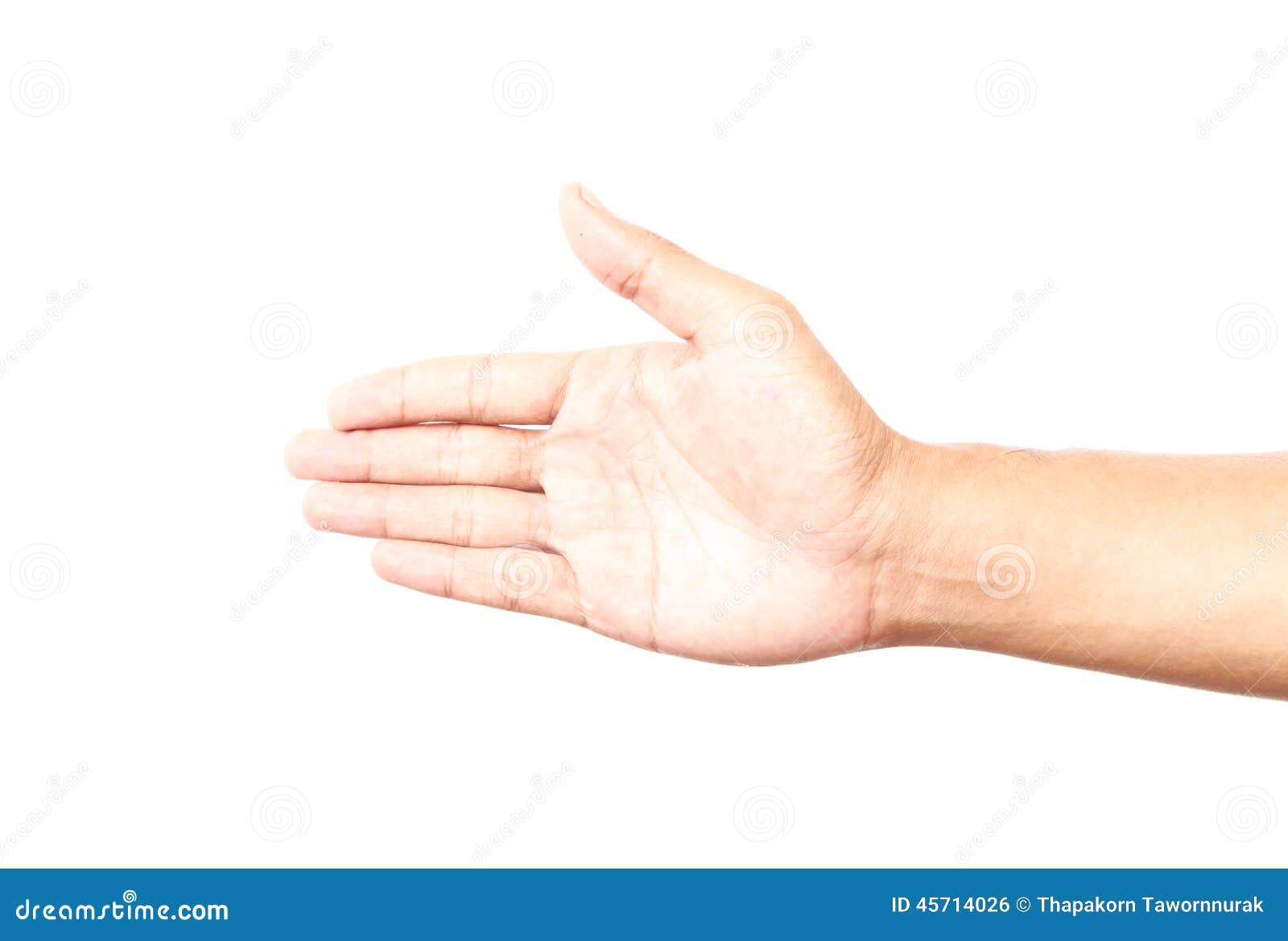 Empty hand isolated stock photo. Image of empty, background - 45714026