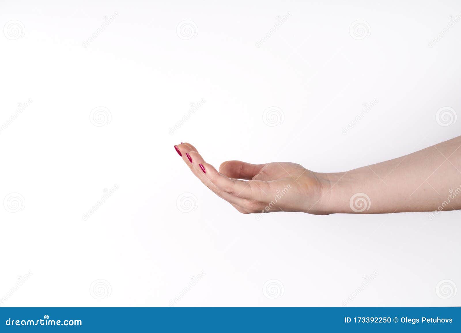 Empty Hand Isolated on White Background Stock Photo - Image of empty ...