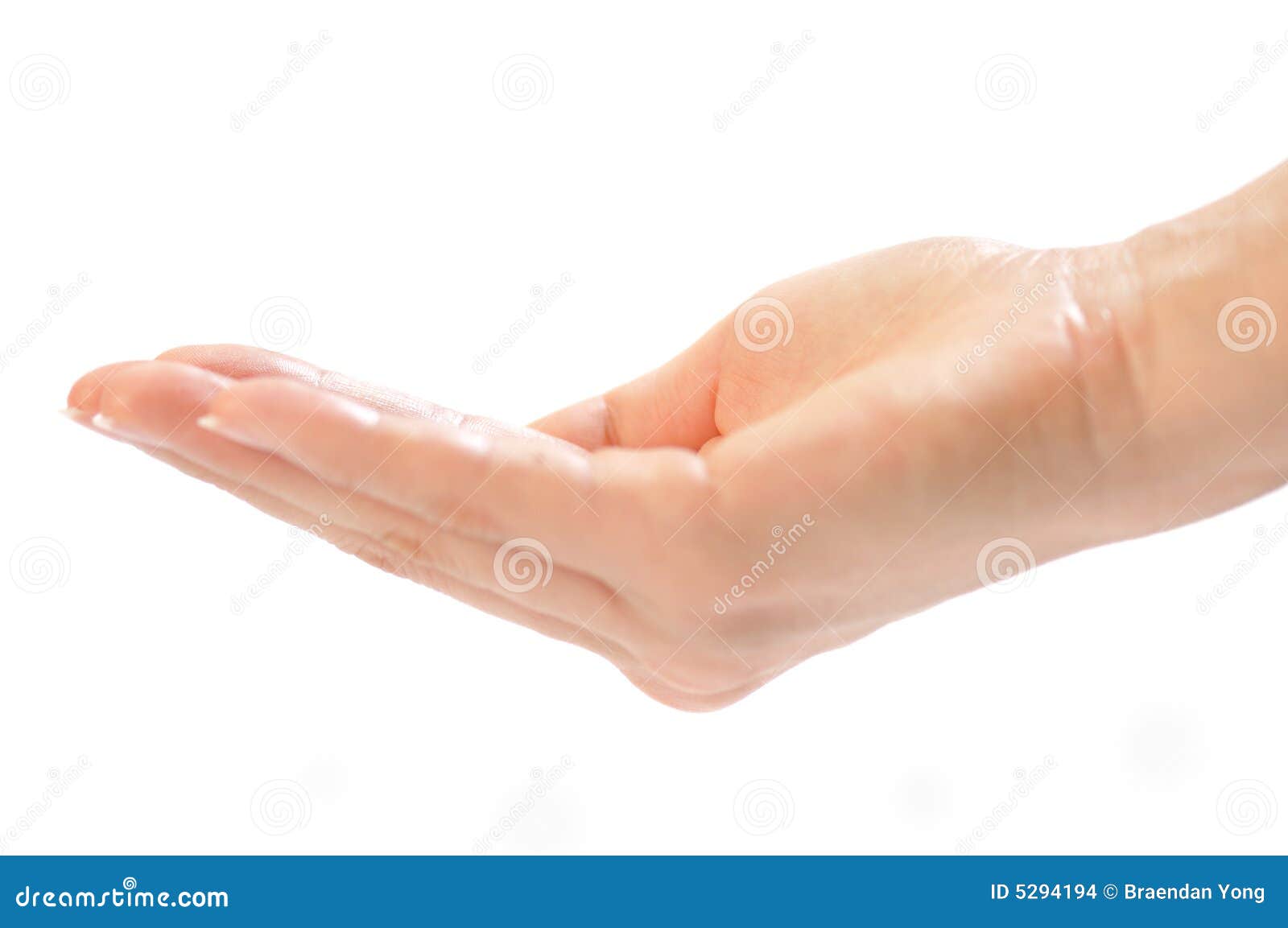 Empty Hand Series 1 stock photo. Image of fingers, held - 5294194