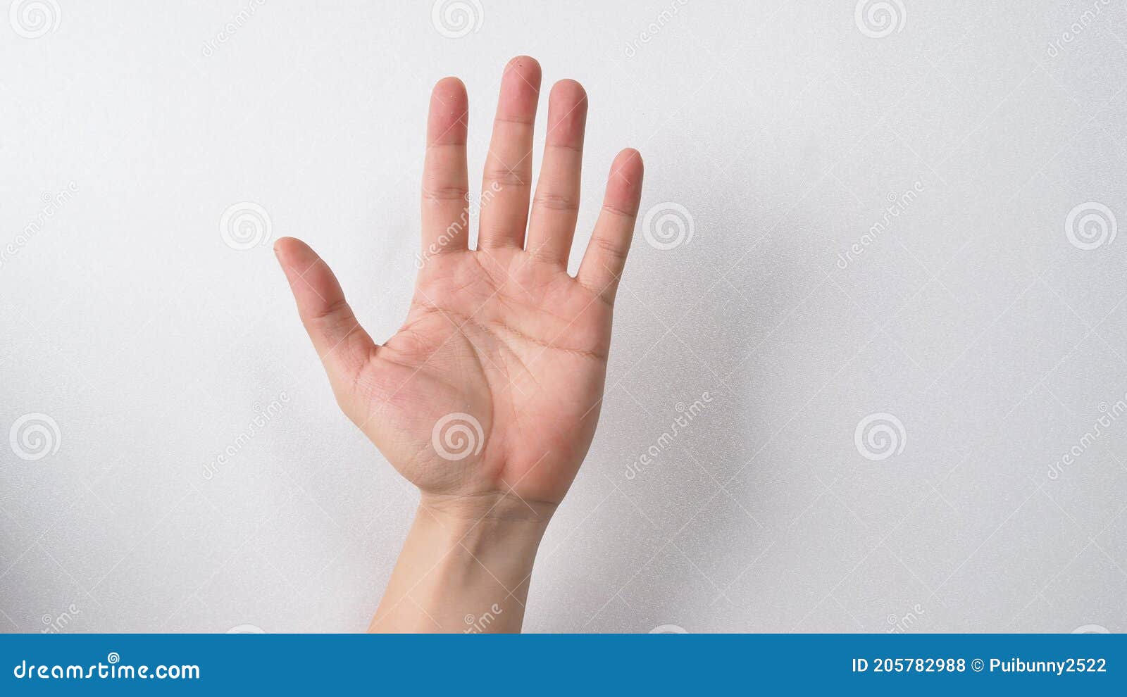 Empty Hand on White Background. Five Finger. Stock Photo - Image of ...