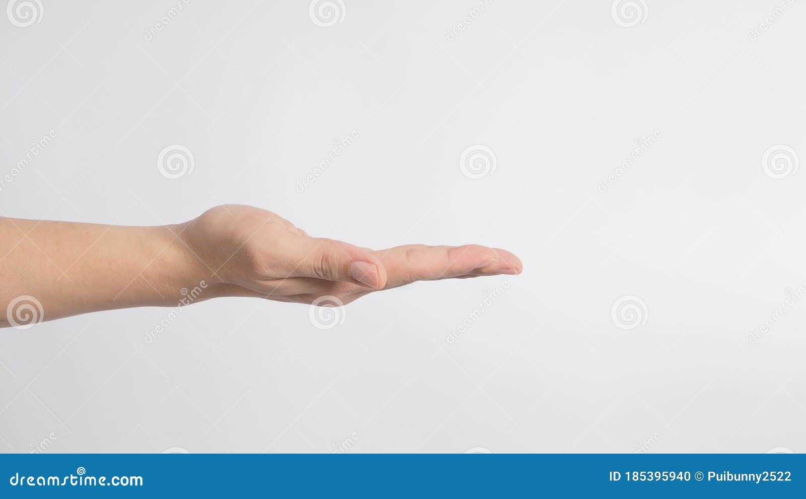 Empty Hand on White Background.studio Shooting Picture Stock Photo ...