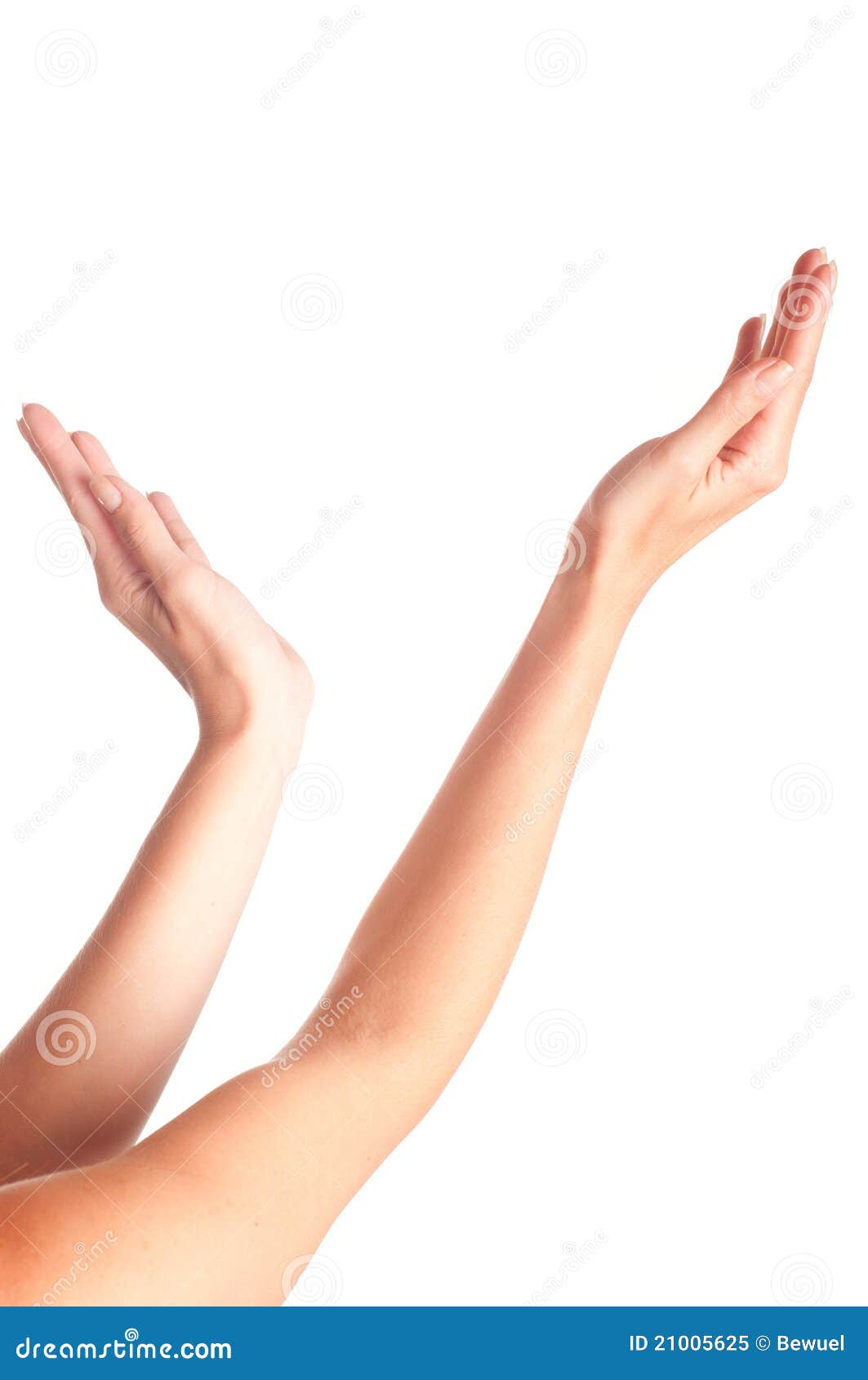 Empty hands stock image. Image of empty, life, concepts - 21005625