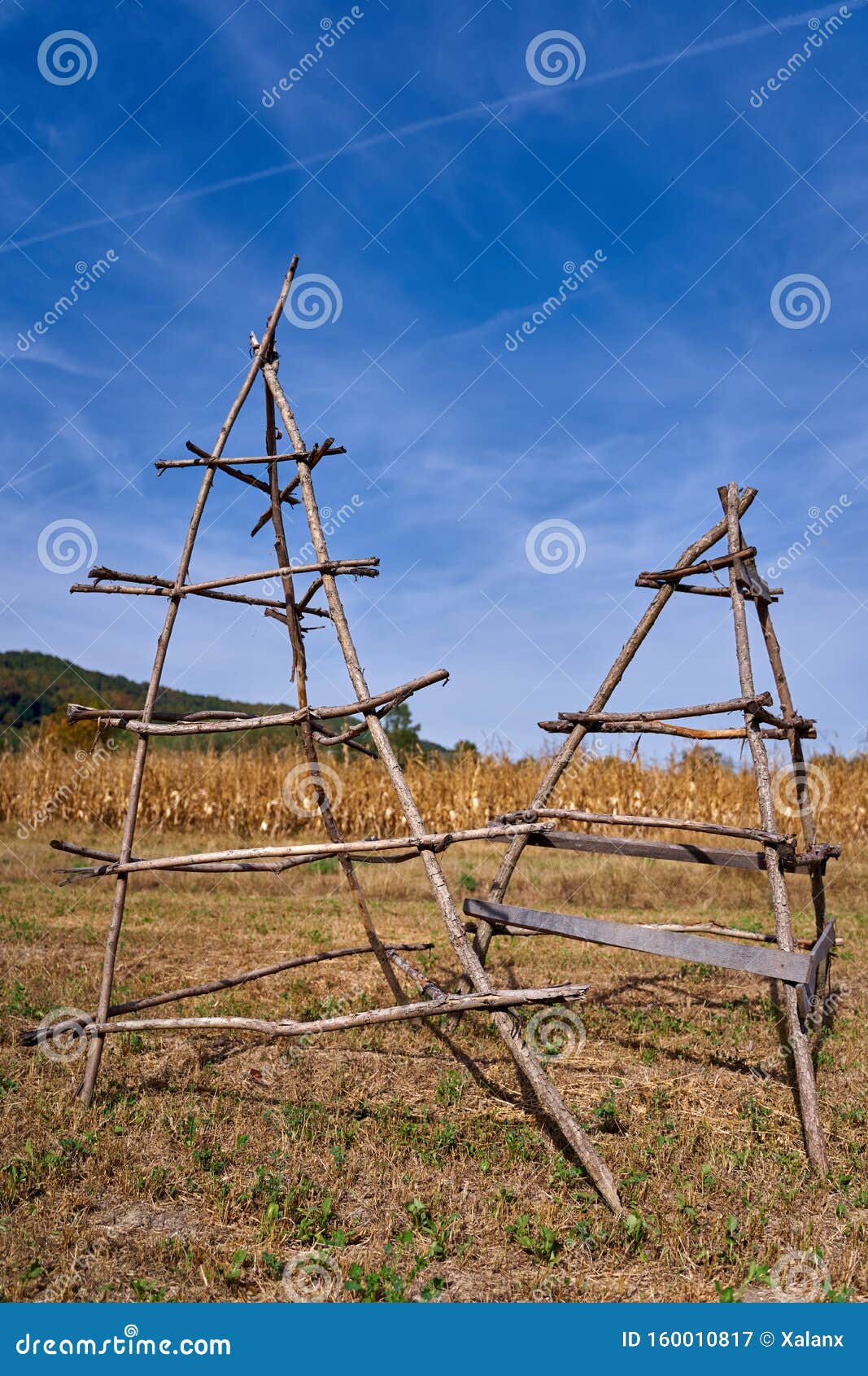 Empty Hay Racks in a Corn Field Stock Image - Image of corn, clear ...