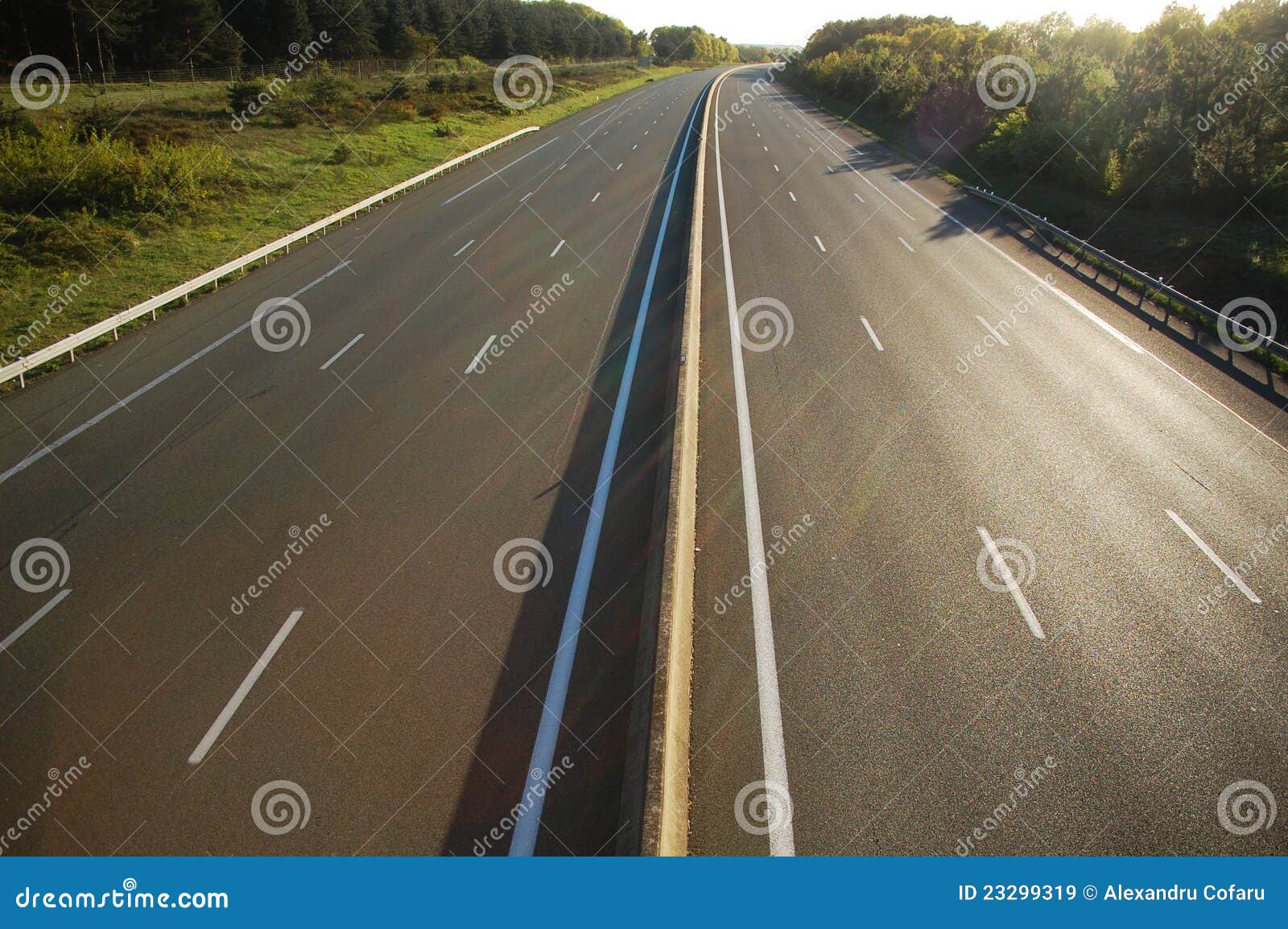 Empty Highway Road Among Rubber Tree With Sunbeam, Empty Way With Copy ...