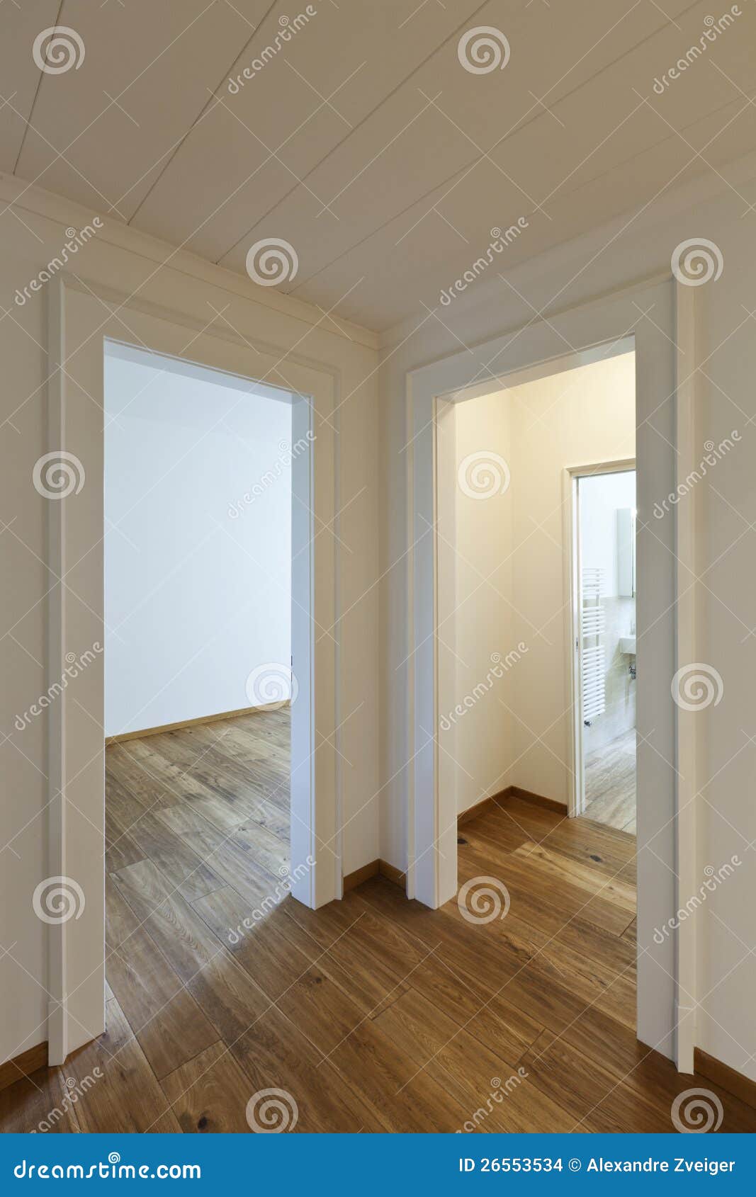 Empty home, passage stock photo. Image of passage, design - 26553534