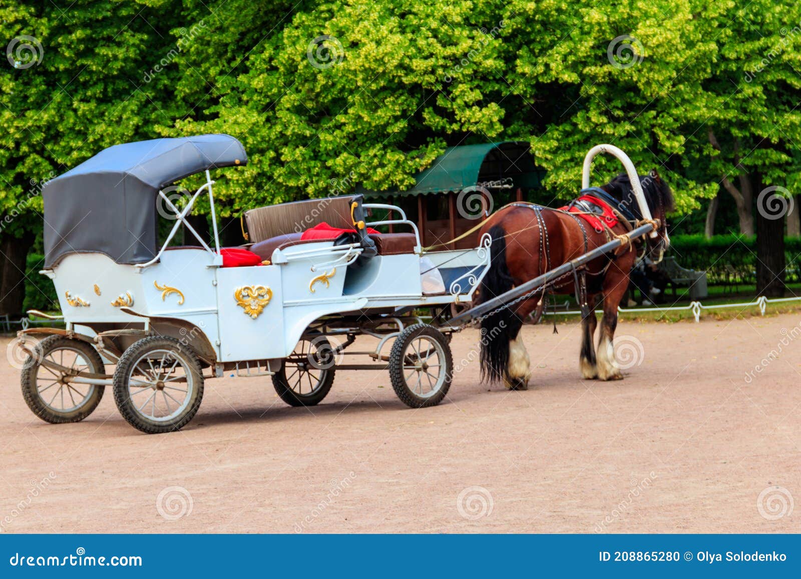 Empty Horse-drawn Carriage in Green Park Stock Photo - Image of empty ...