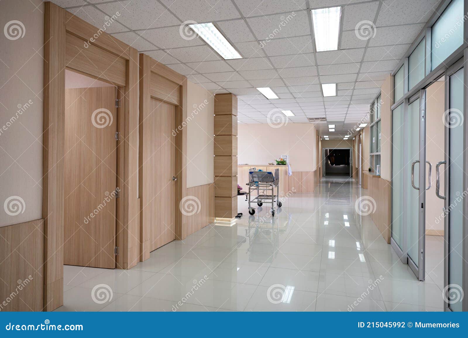 Empty Hospital Corridor with Various Rooms and Trolley Patient Service ...