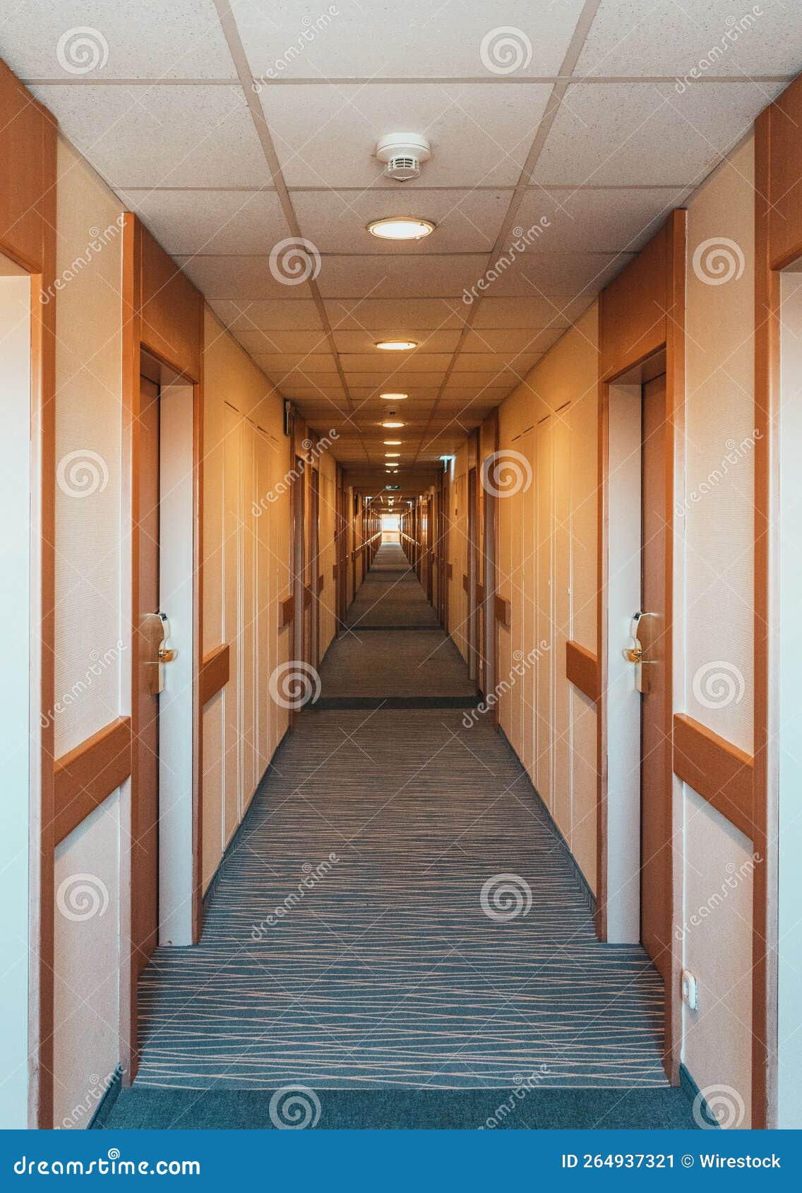 Empty Hotel Hallway with Wooden Doors Stock Image - Image of frame ...