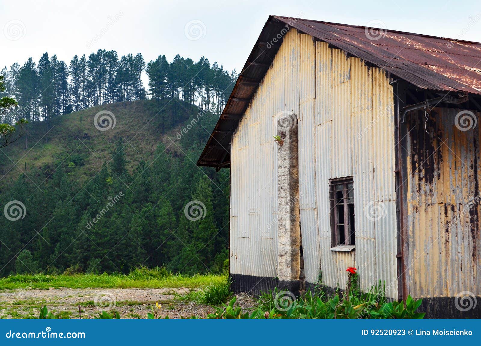 Empty House in a Clearing in the Forest Stock Image - Image of tree ...
