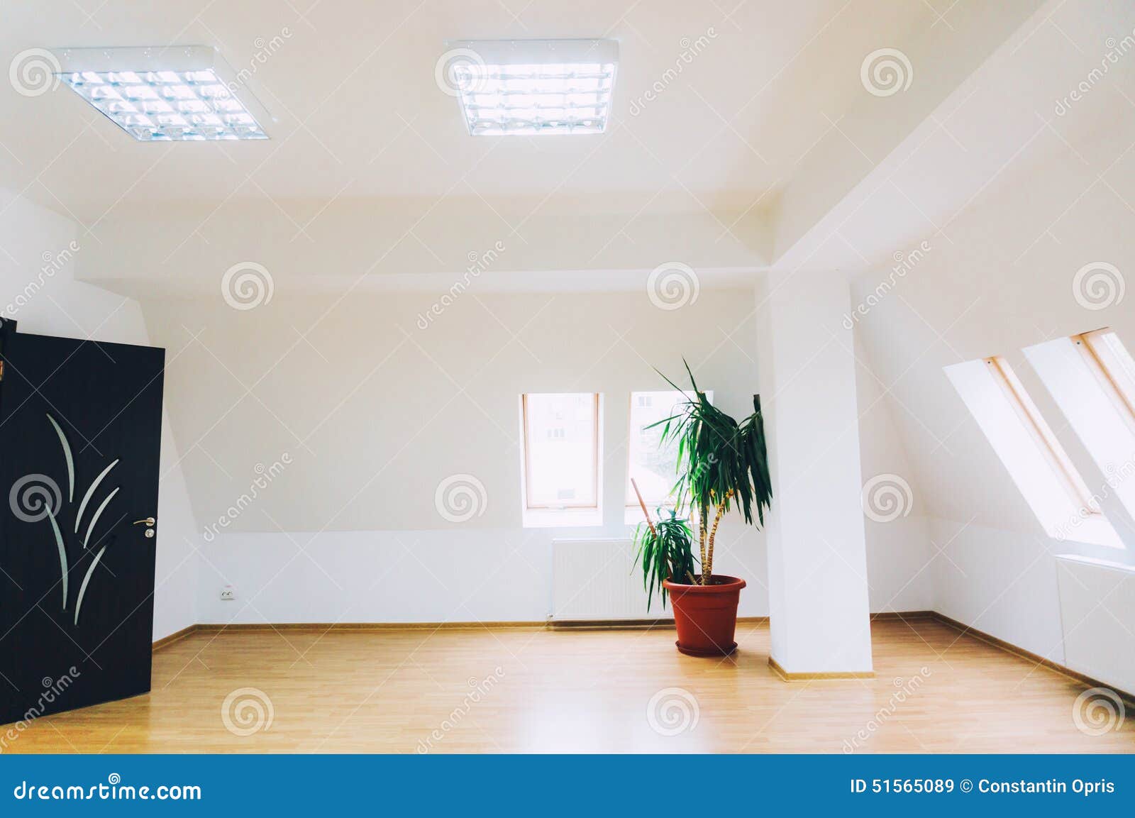 Empty house interior stock image. Image of parquet, brightness - 51565089
