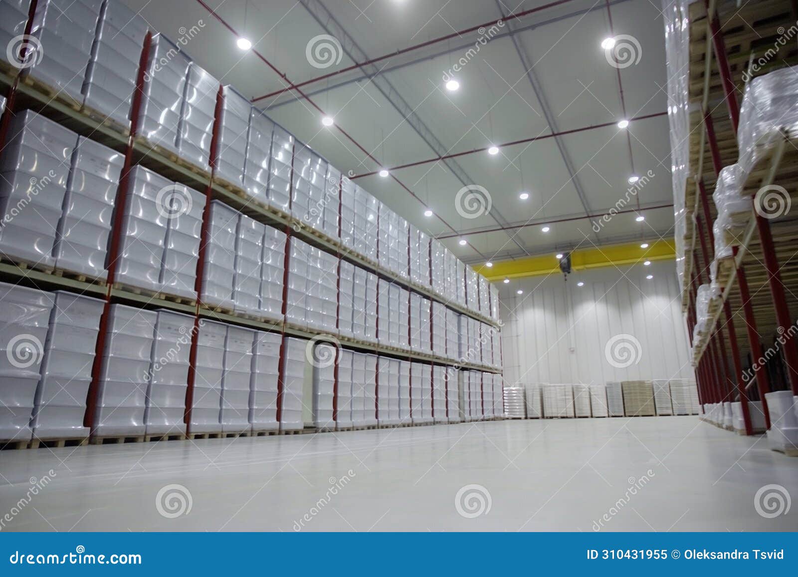 Empty Huge Distribution Warehouse with High Shelves and Pallet, Modern ...