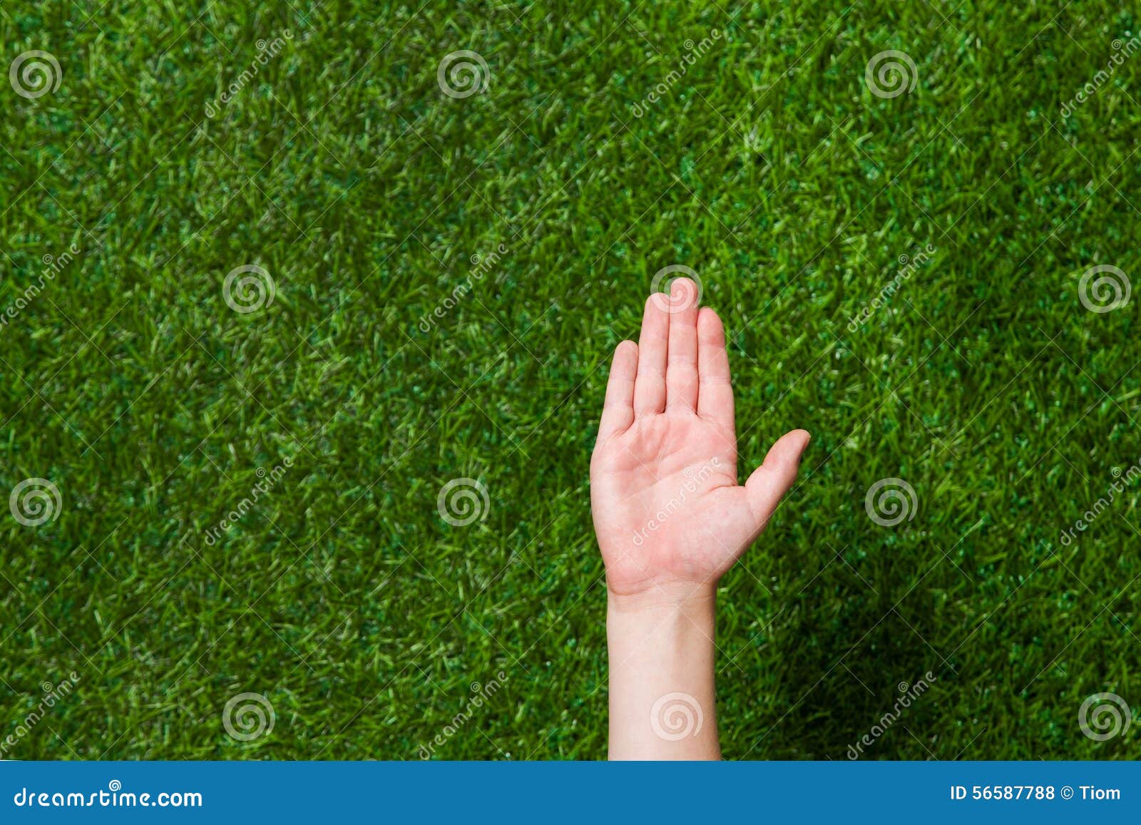 Empty human hand stock photo. Image of showing, human - 56587788