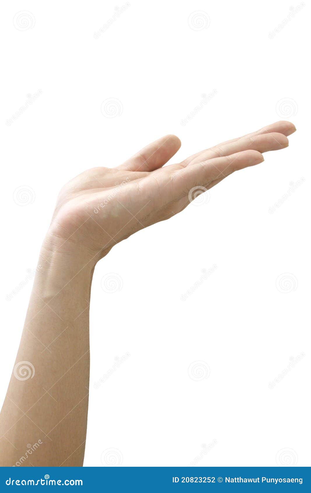 Empty Human Hand Held Up Isolated Stock Photo - Image of single, human ...