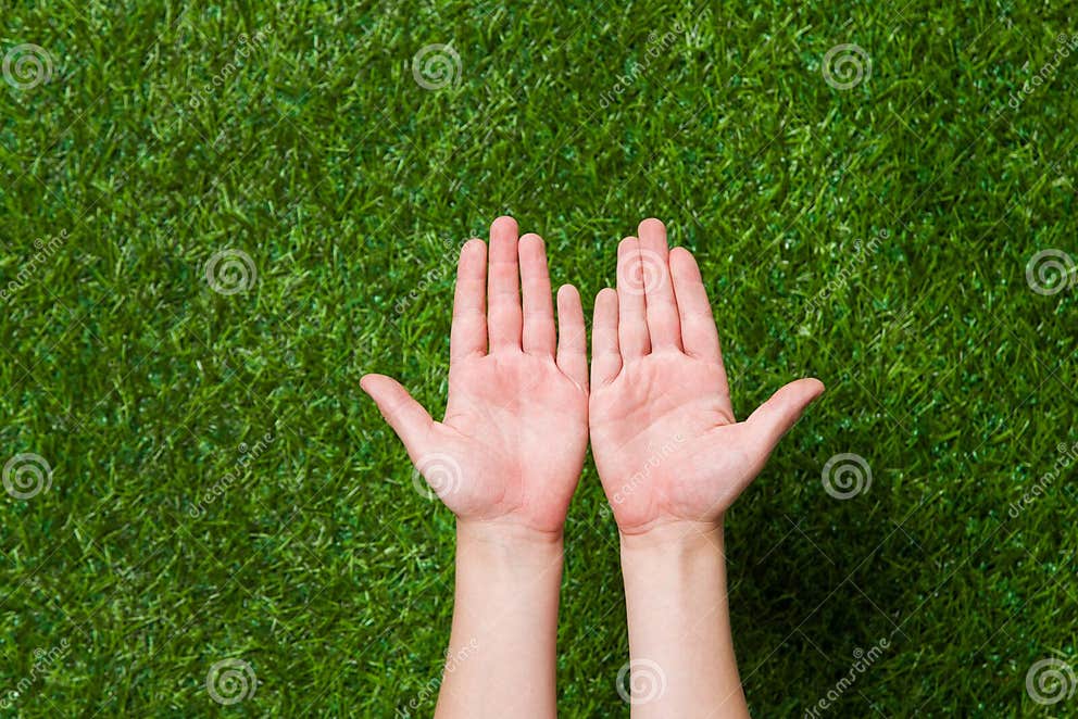 Empty human hands stock image. Image of spring, meadow - 56587871
