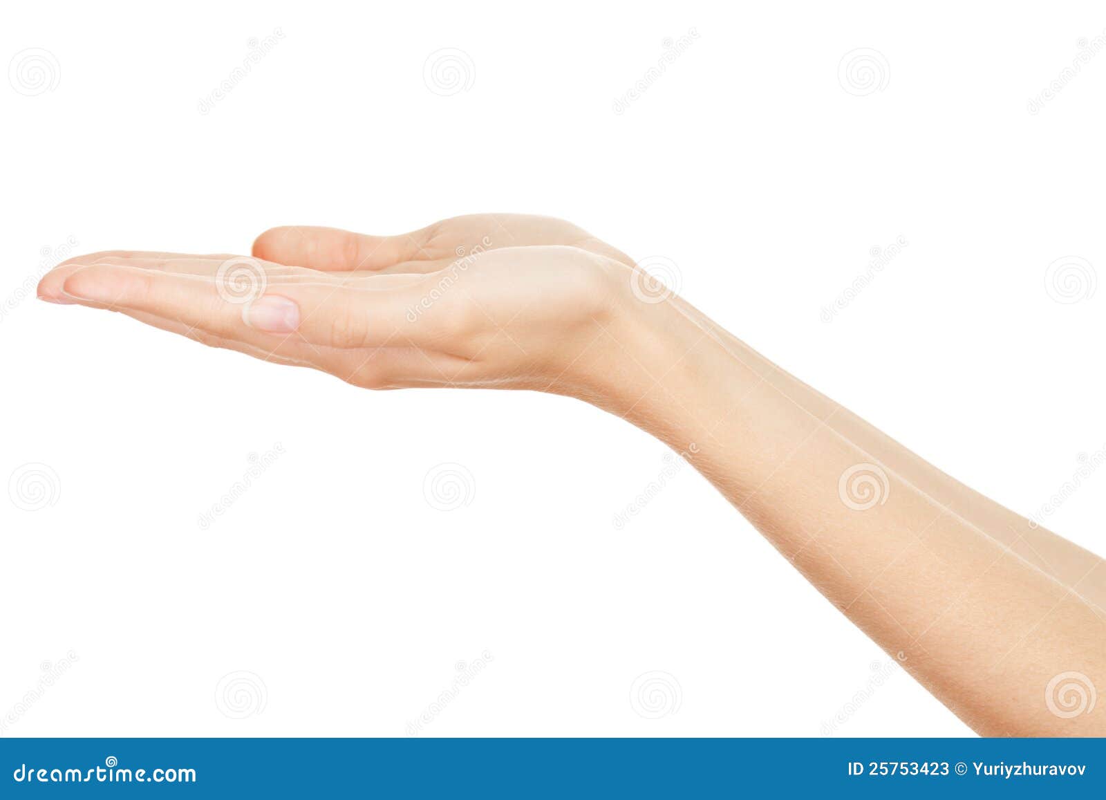 Empty Human Hands(Beauty Woman Hands) Stock Image - Image of ...