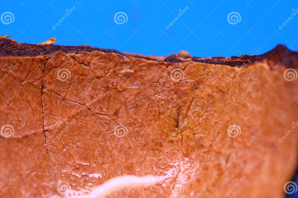 Empty Husk of Dry Coconut stock photo. Image of agriculture - 289262672