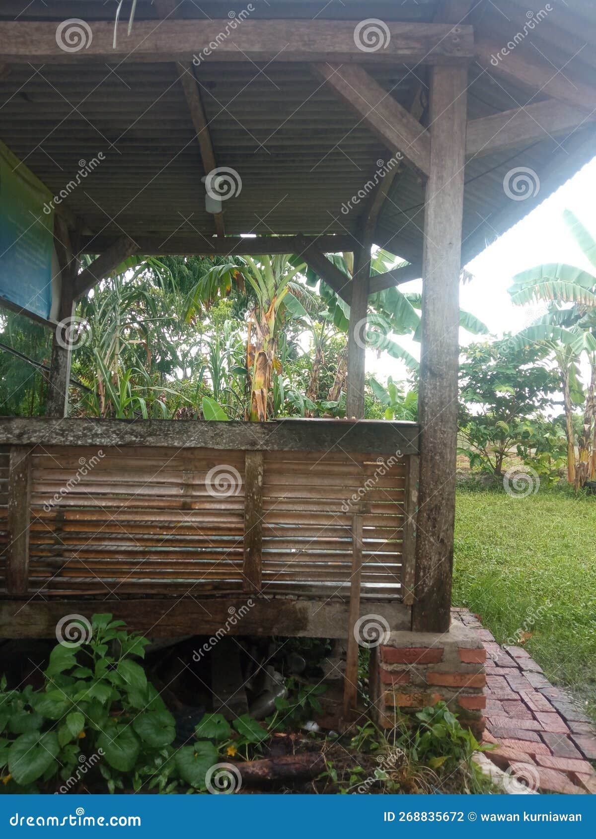 Empty hut after rain stock photo. Image of wood, backyard - 268835672