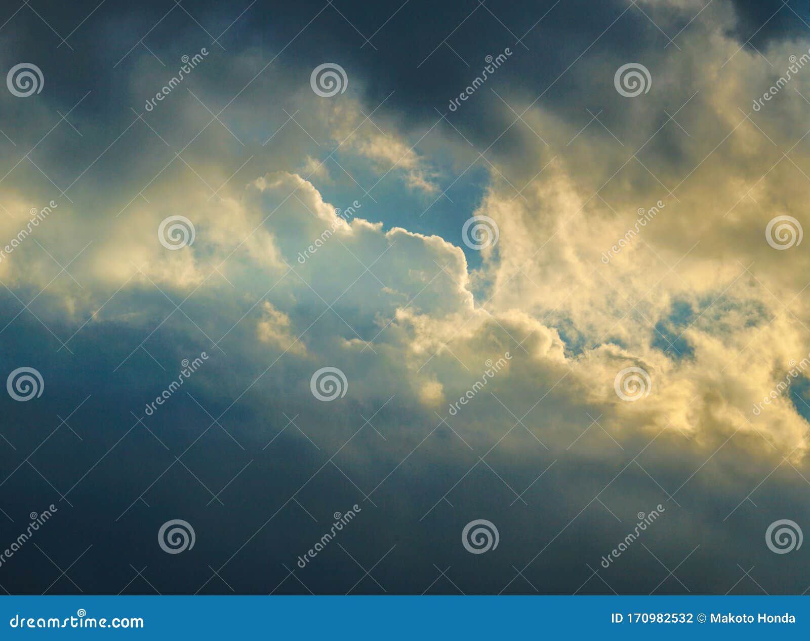 Empty image stock photo. Image of dusk, summer, flower - 170982532