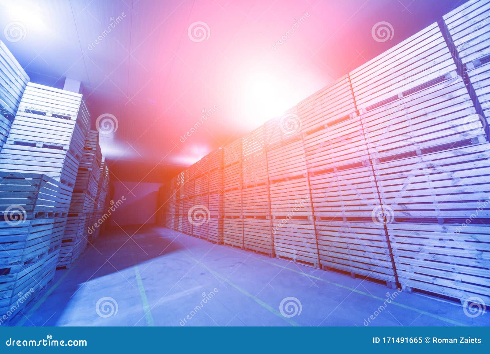 Empty Industrial Freezer Warehouse for Vegetable Storage. Stock Image ...