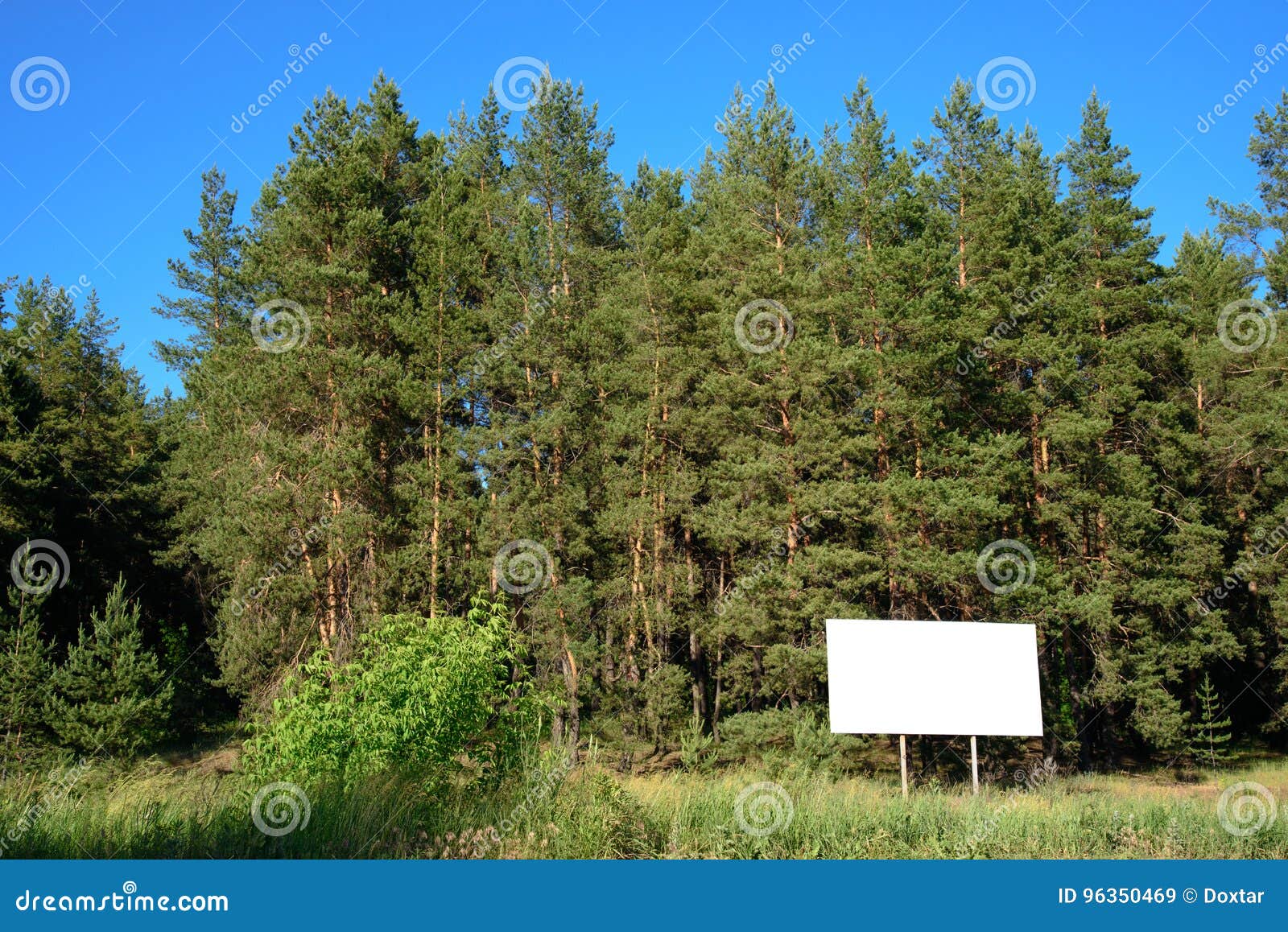 Empty Infortation Board in Forest Stock Image - Image of park ...
